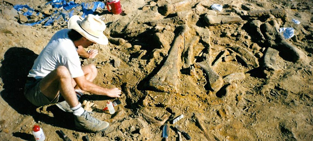 Dinosaur Bones – Pacific GeoLab